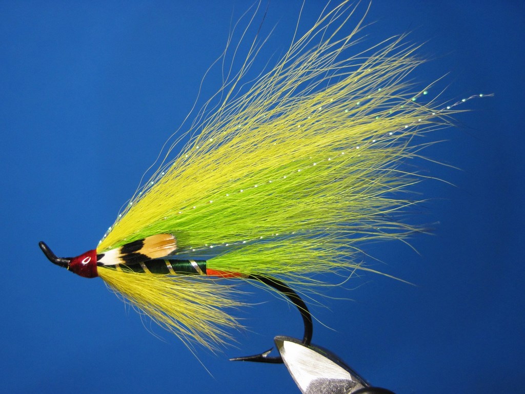 Emerald Renous Special (fox)