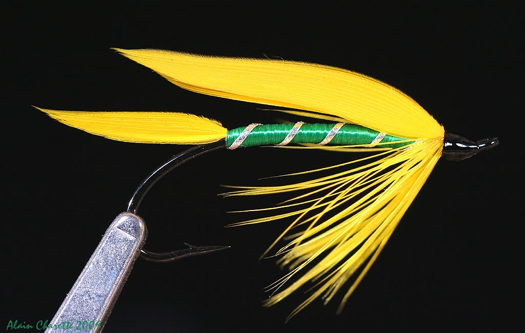 Alain Charette: Passionné de Pêche à la Mouche et de Photographie