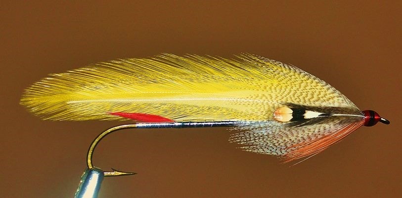 streamer; colonel bates