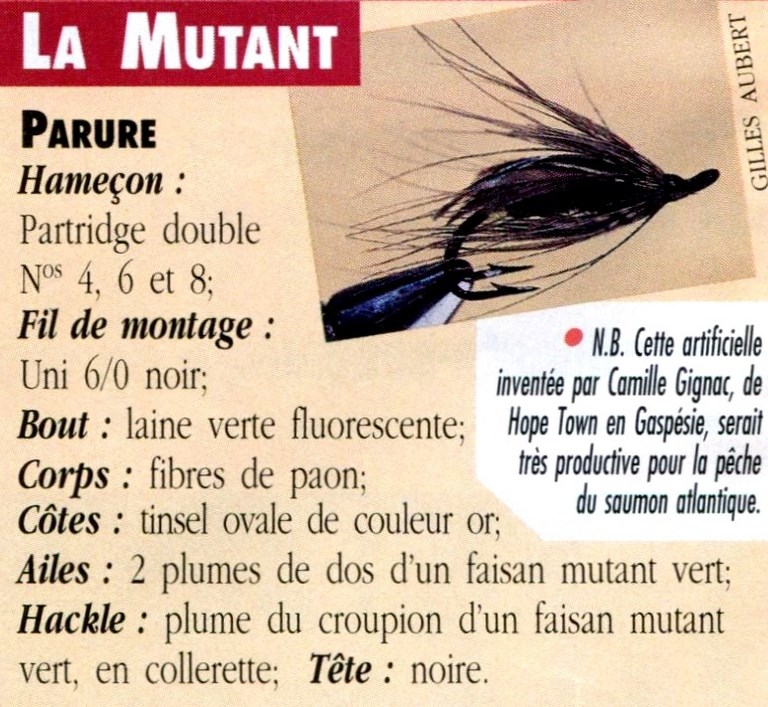Choix de la Mouche par Gilles Aubert