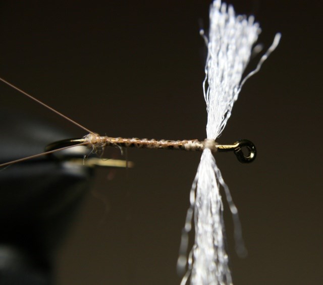 Photos-Montage de la mouche Hendrickson Spinner par David Quenneville