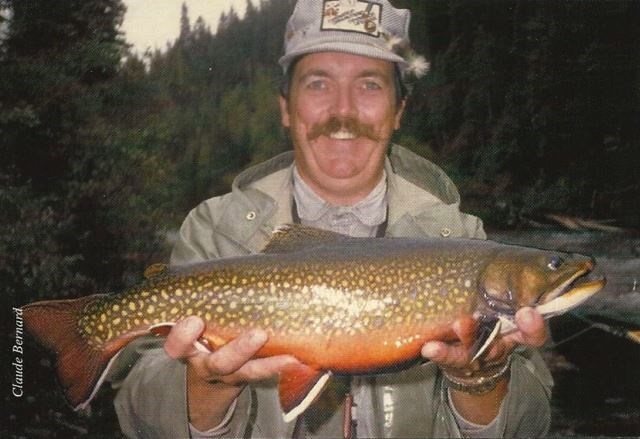 Truite de mer en Gaspésie, Comment s'y retrouver ? par Claude H. Bernard