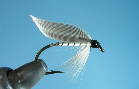 Fern Fly