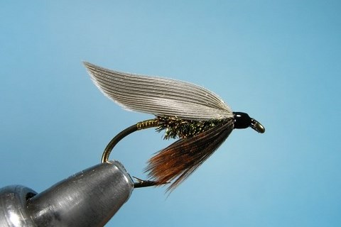 Leadwing Coachman